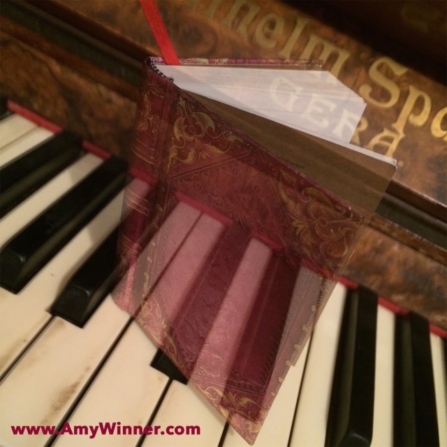 Finding the story | Amy Winner